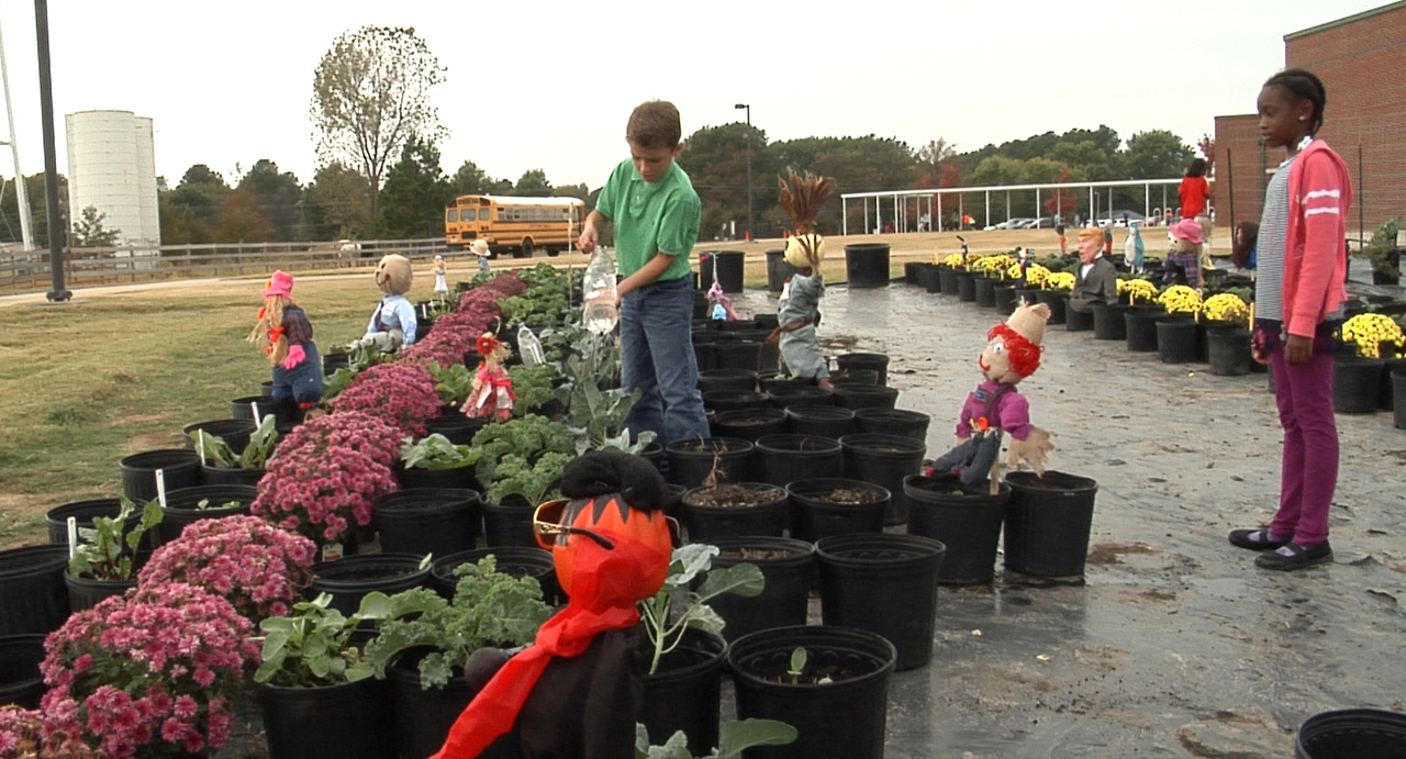 Farm to Classroom: Third Graders Learn Math, Life Skills on School Farm