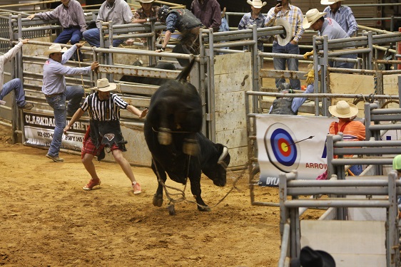 Taking Life by the Horns and Charging a Bull:Ronald Burton’s Experience ...